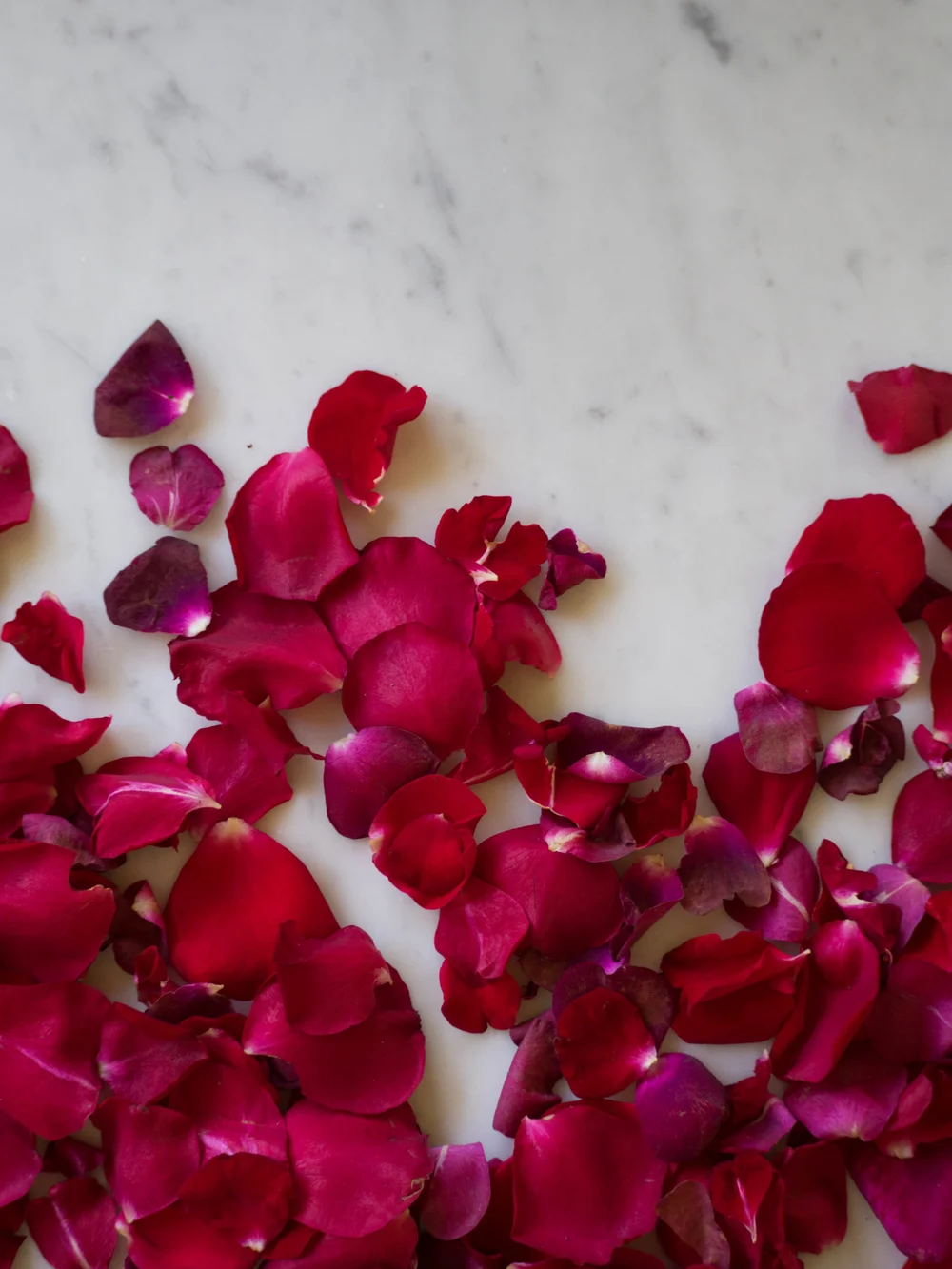 Fortnum & Mason’s Rose Biscuits Revisited + How to Make Crystallised ...