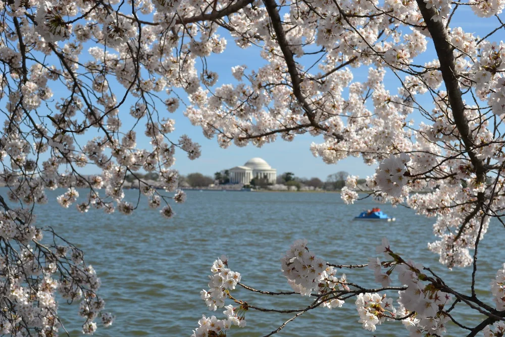 Washington DC: Capitalizing on Our Nation’s Capital