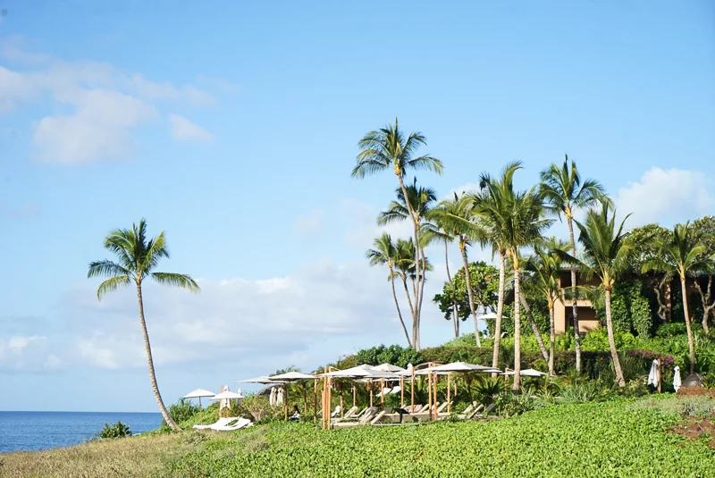 The Best of Lanai: Hawaii's Hidden Gem