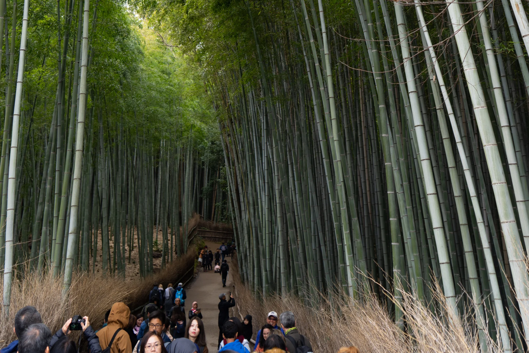 Just back from Kyoto: The Best Places to Stay, Where to Eat and the ...