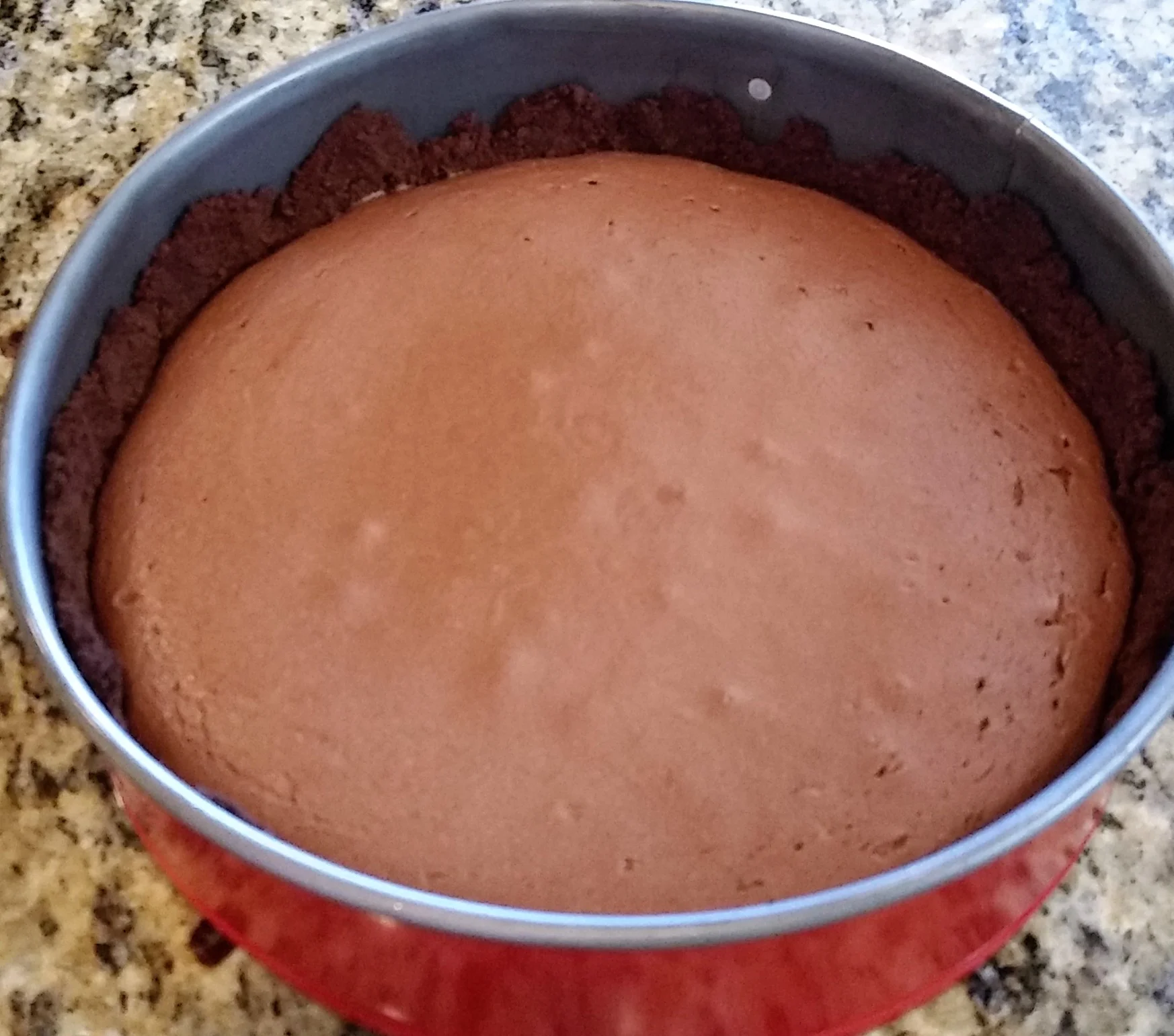 THE "LOWER" FAT CHOCOLATE CHEESECAKE — DoubleTake