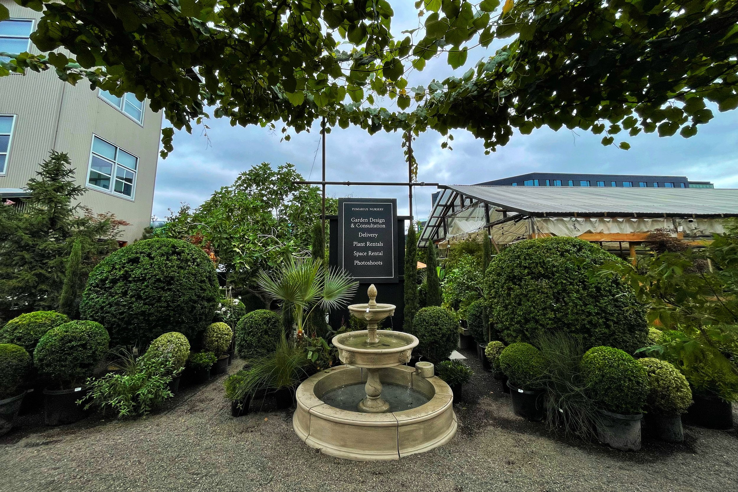 Plants with Character | Since 2002