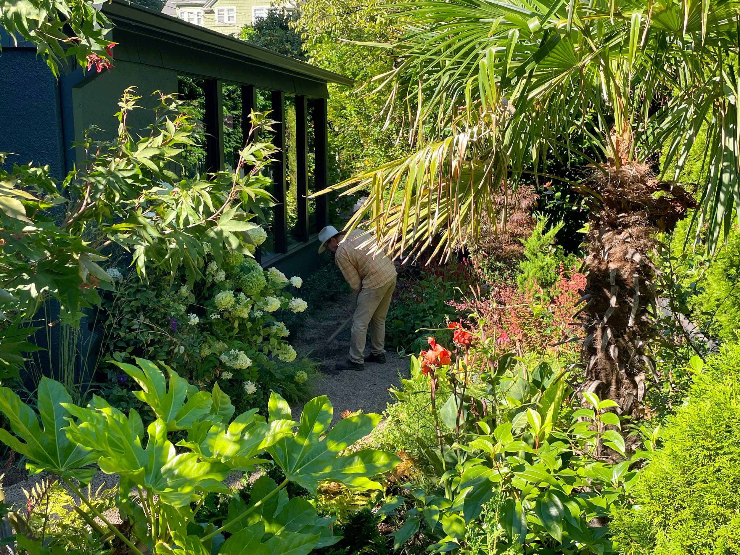 Garden Design Services — Plants with Character | Since 2002