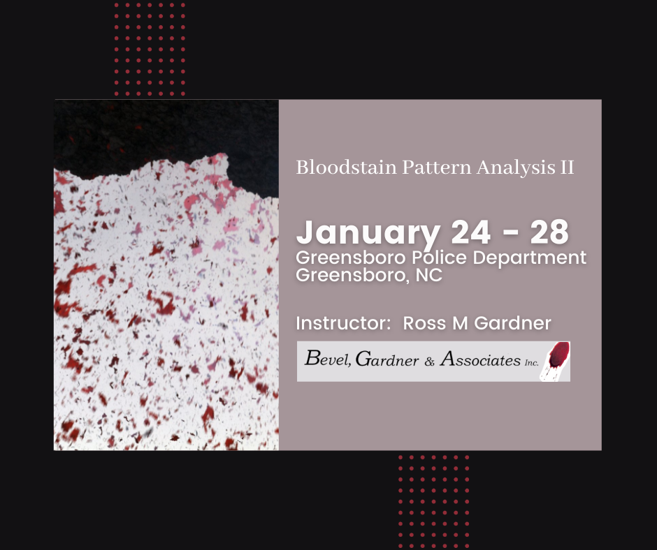 New Year New Training Bevel Gardner Associates Expert Training new-year-new-training-bevel-gardner-associates-expert-training