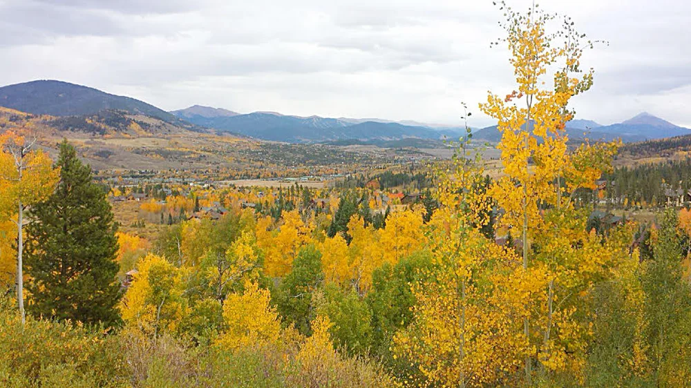 Fall Foliage - Colorado in Autumn — According To D
