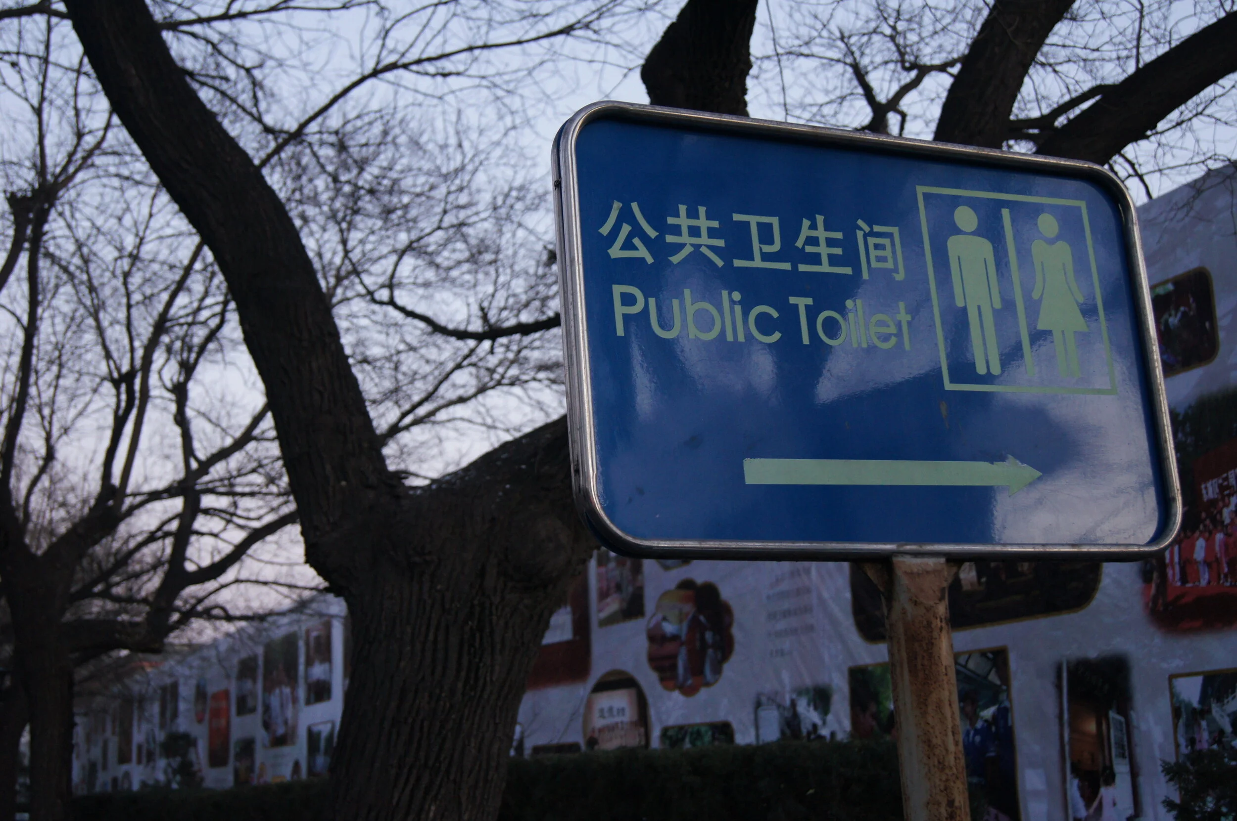 China’s Toilet Revolution: An Experiment in Top-down Innovation — SAIS ...