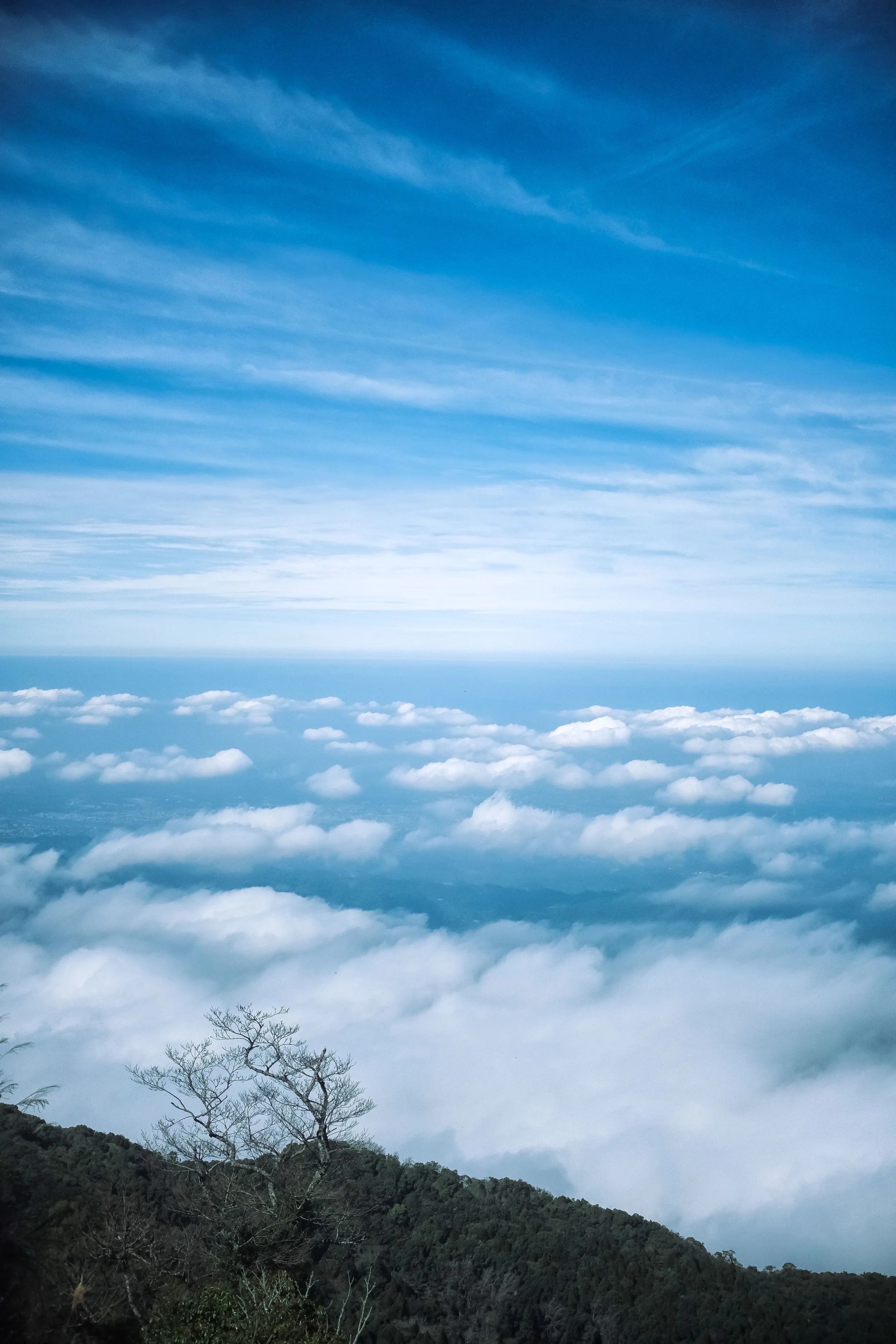 Jialishan (加里山) — Josh Ellis Photography