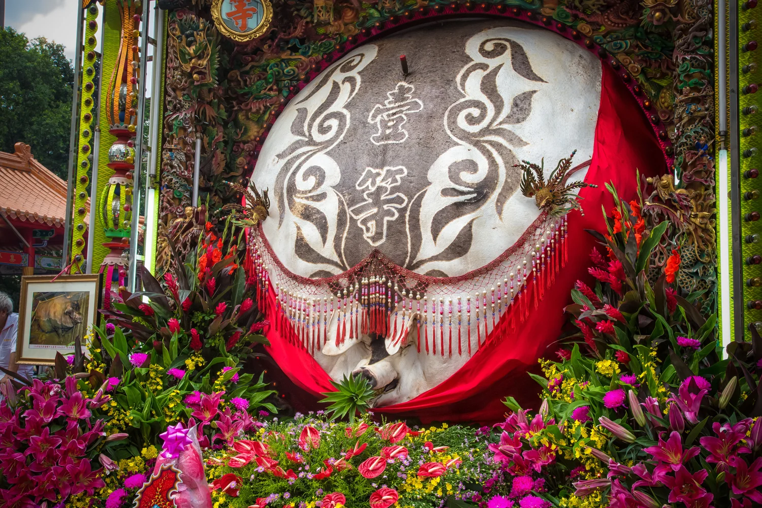 The Pigs of God (義民節殺豬公) — Josh Ellis Photography