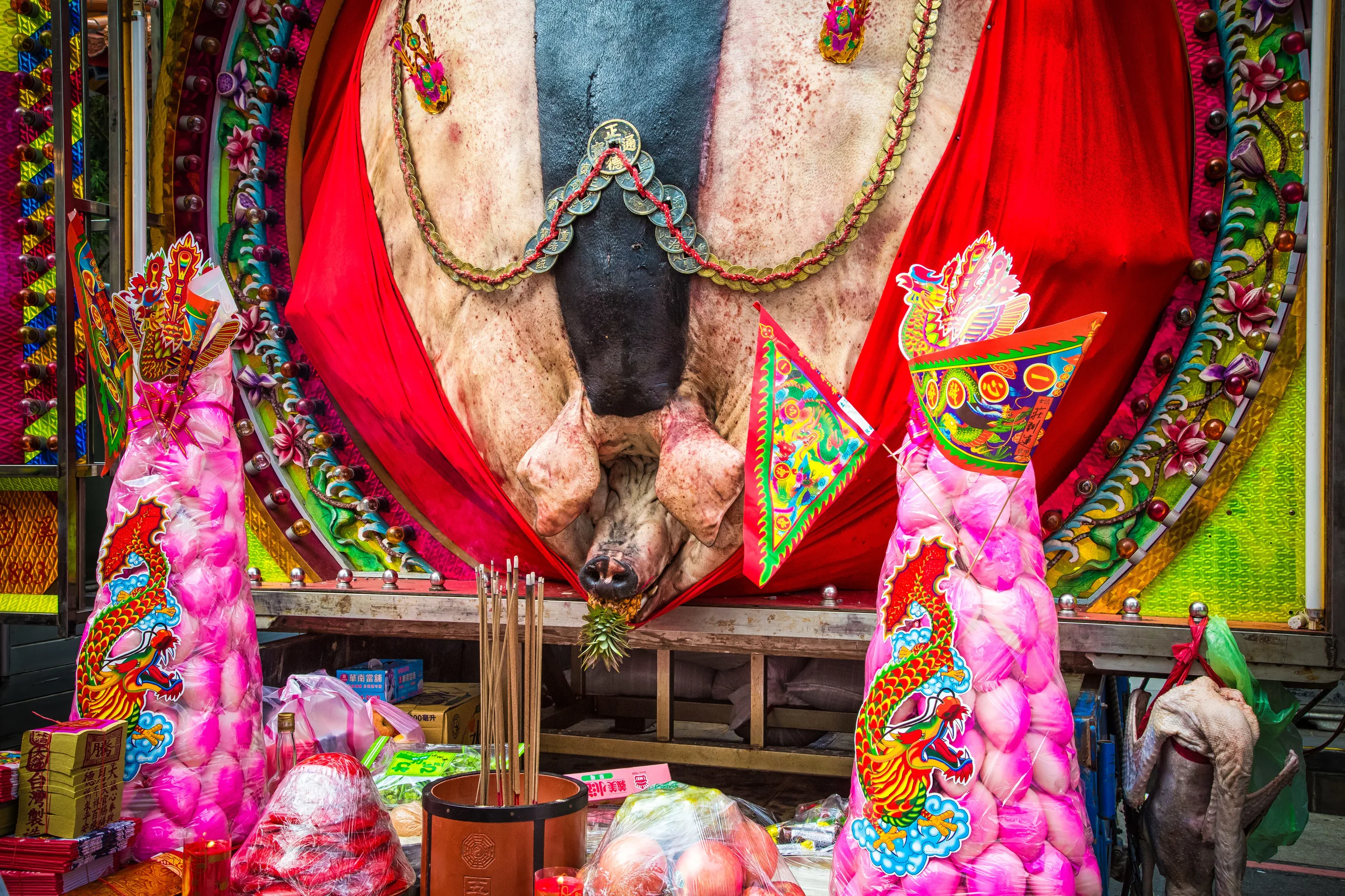 The Pigs of God (義民節殺豬公) — Josh Ellis Photography