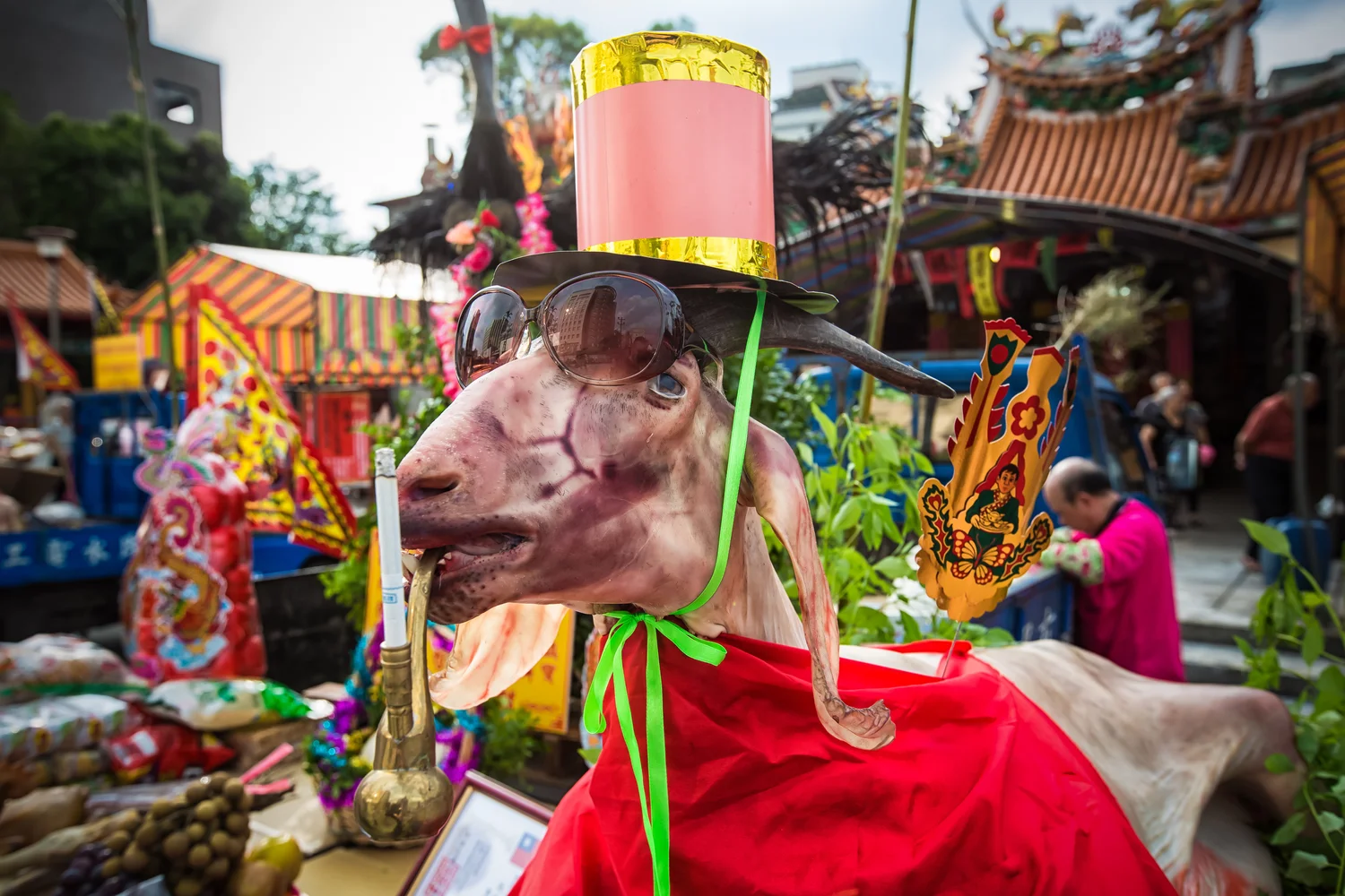 The Pigs of God (義民節殺豬公) — Josh Ellis Photography