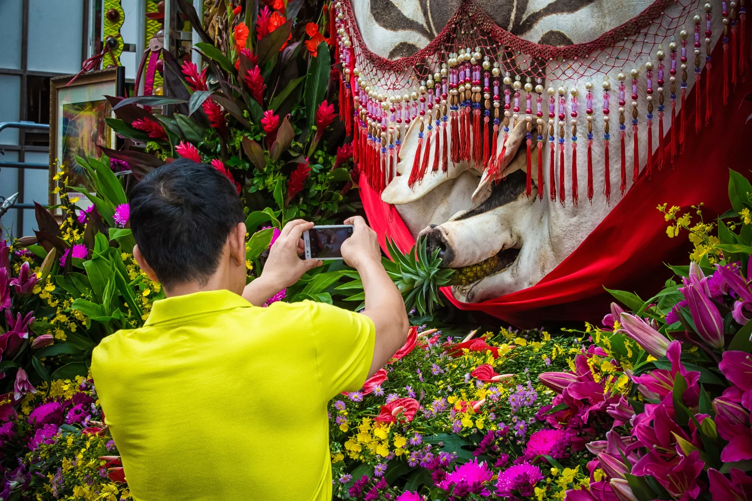 The Pigs of God (義民節殺豬公) — Josh Ellis Photography