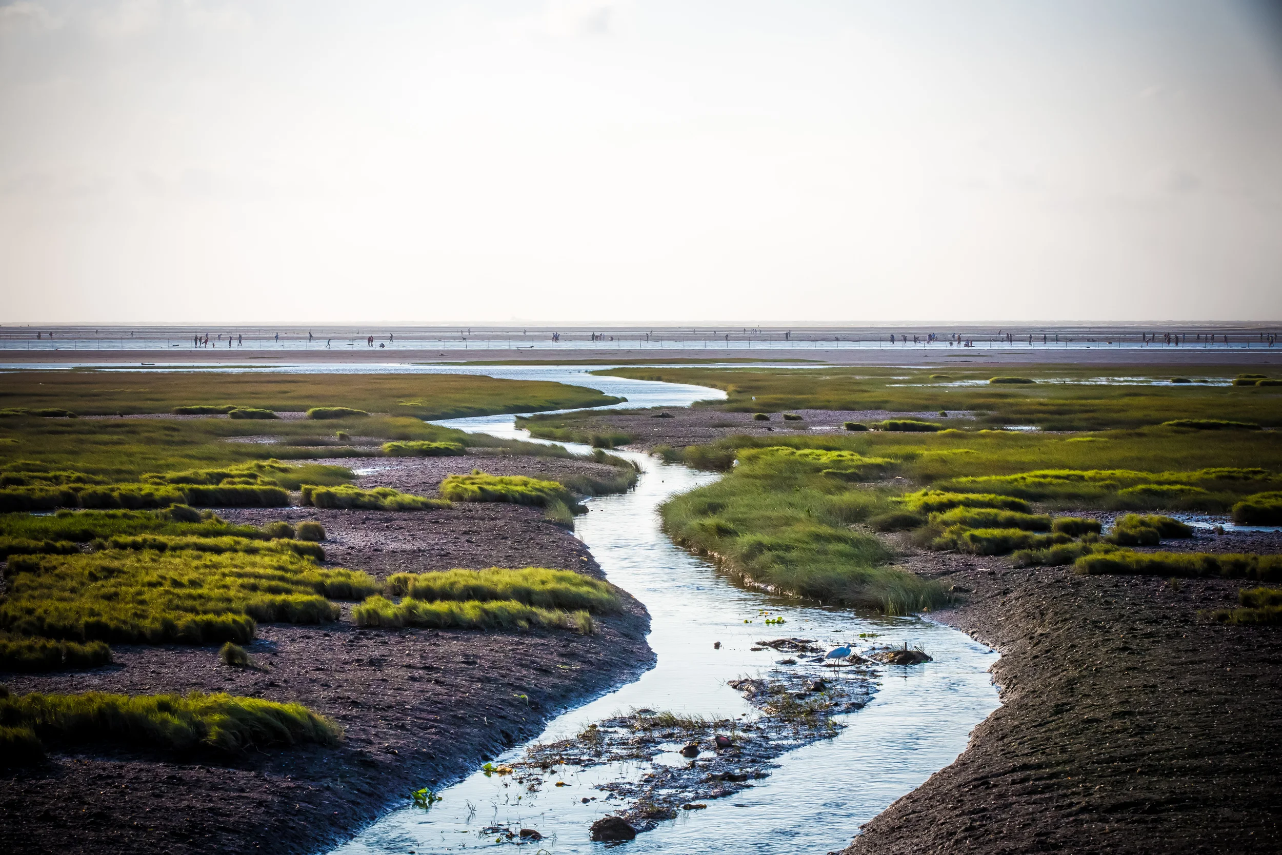 Gaomei Wetlands — Josh Ellis Photography Blog — Josh Ellis Photography
