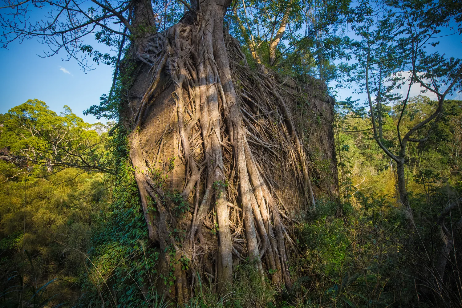 Long-Teng Bridge (龍騰斷橋) — Josh Ellis Photography