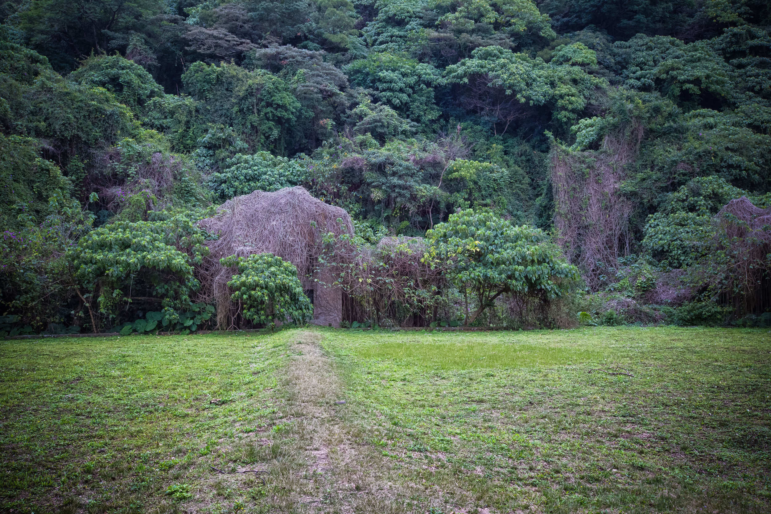 Yuanshan Shinto Shrine (圓山水神社) — Josh Ellis Photography