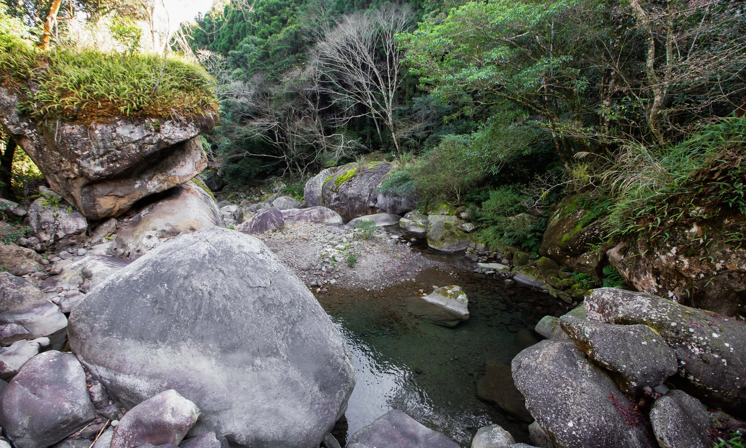 Jialishan (加里山) — Josh Ellis Photography