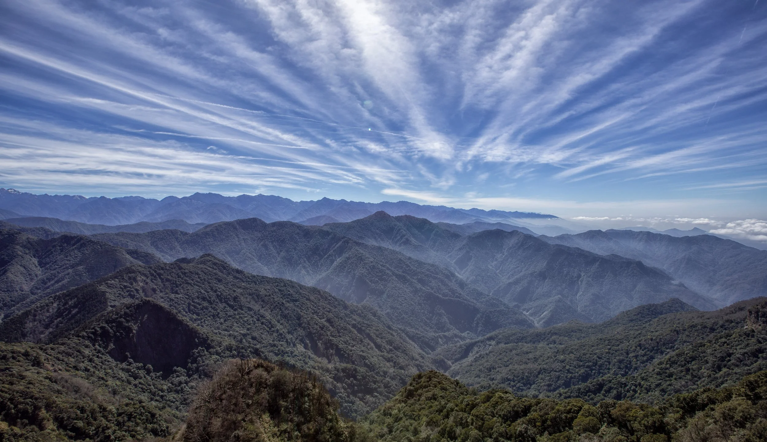 Jialishan (加里山) — Josh Ellis Photography