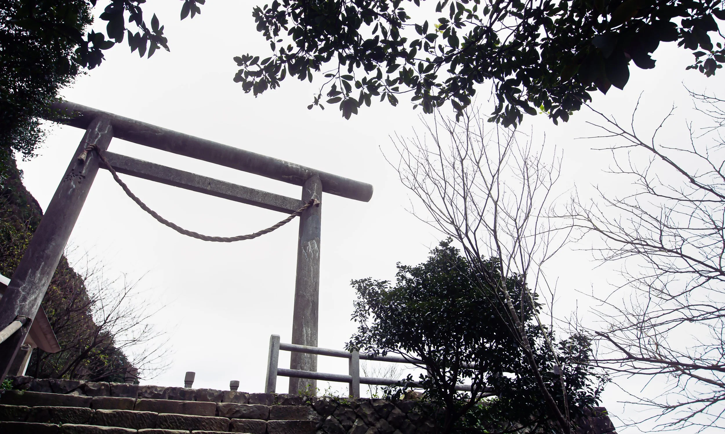 Ogon Shrine (黃金神社) — Josh Ellis Photography