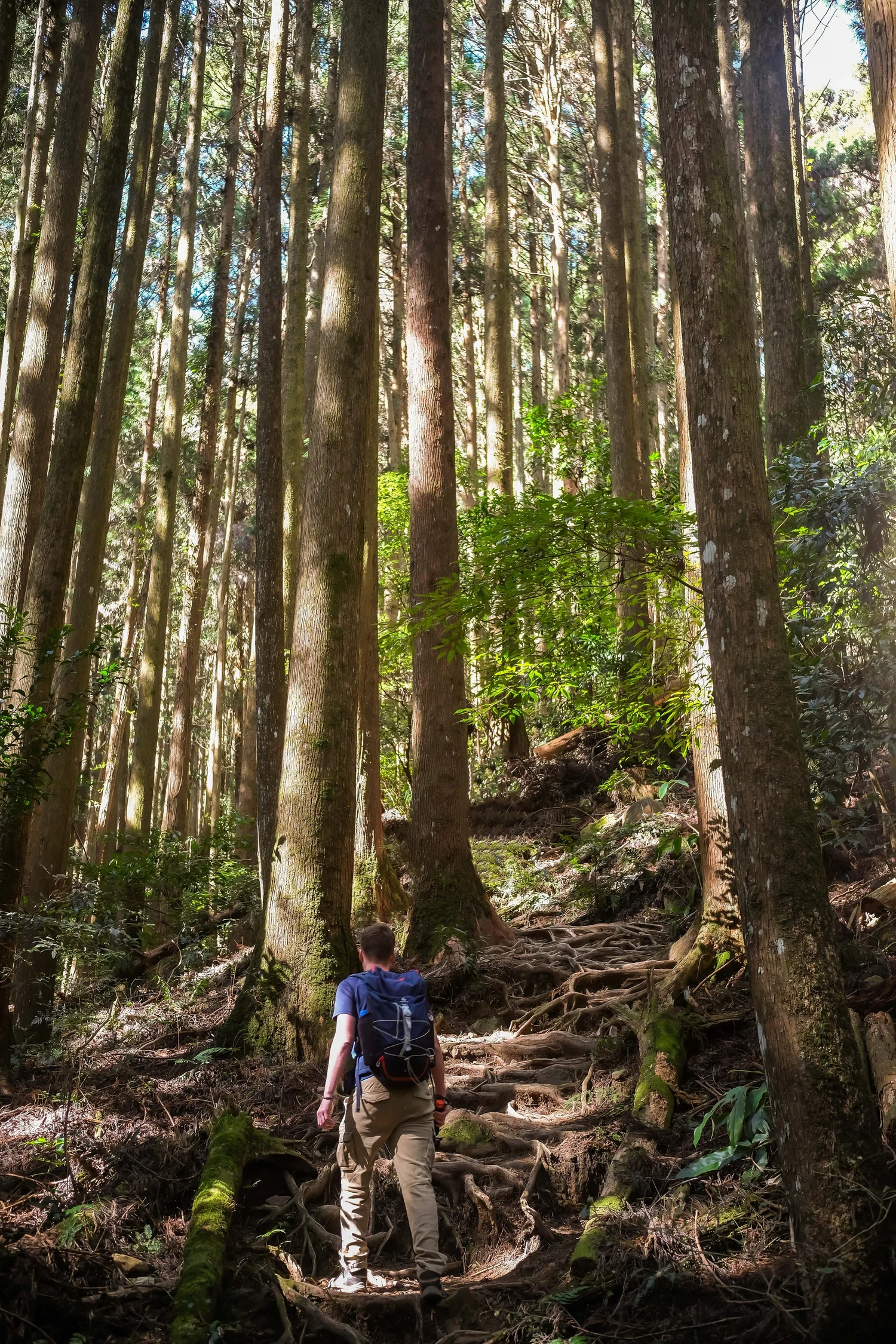 Jialishan (加里山) — Josh Ellis Photography