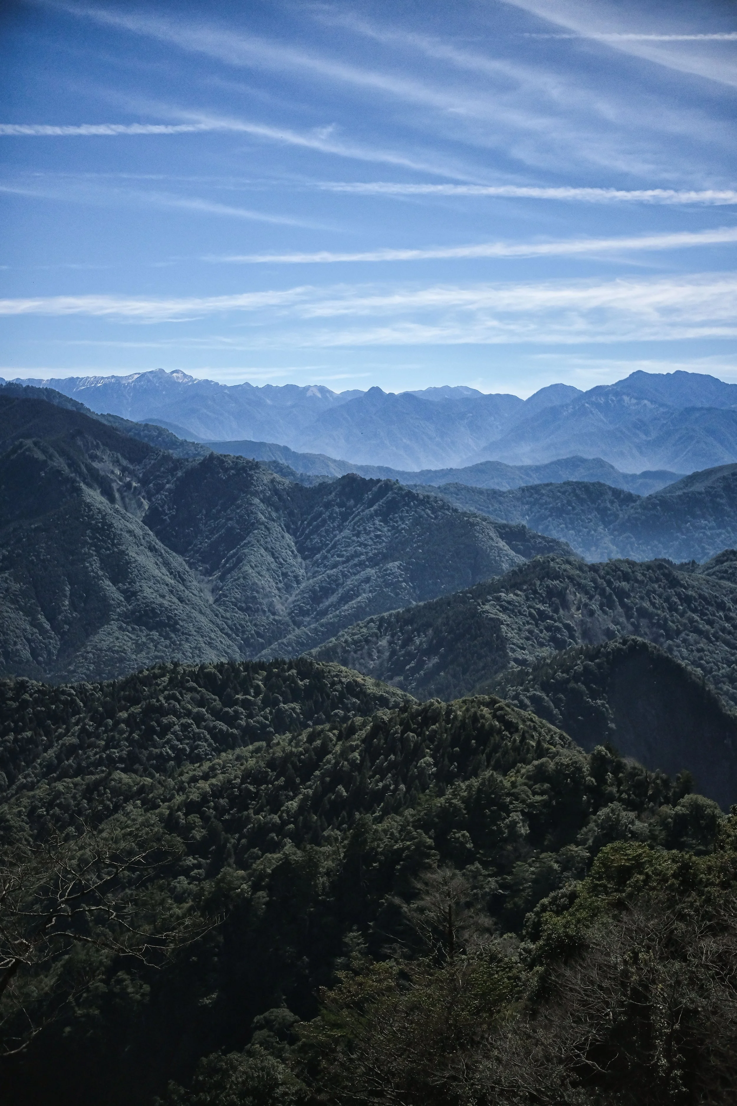 Jialishan (加里山) — Josh Ellis Photography