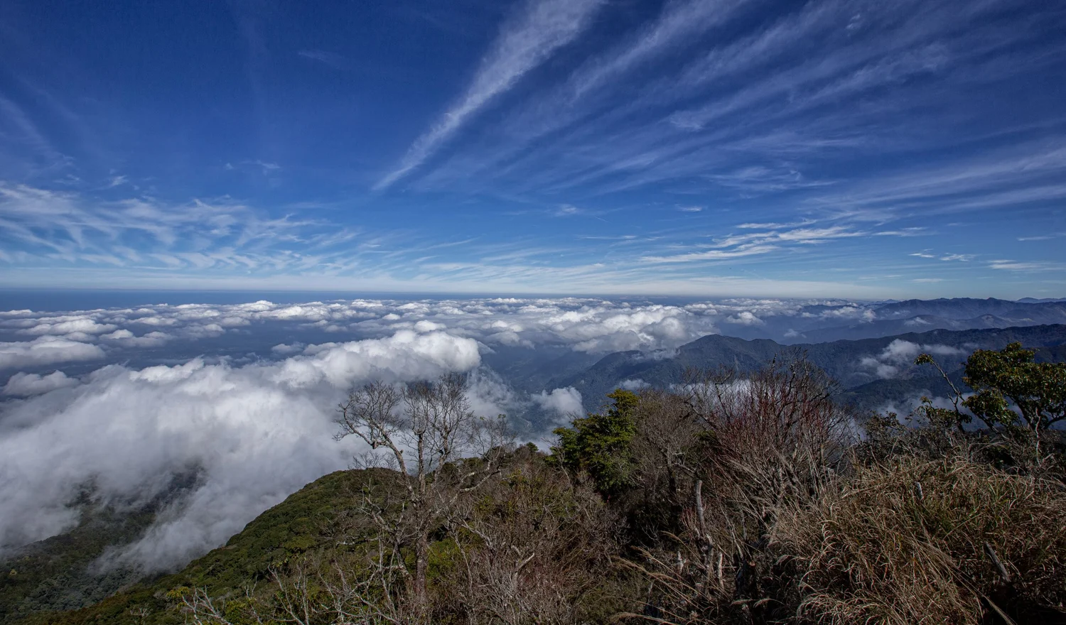 Jialishan (加里山) — Josh Ellis Photography