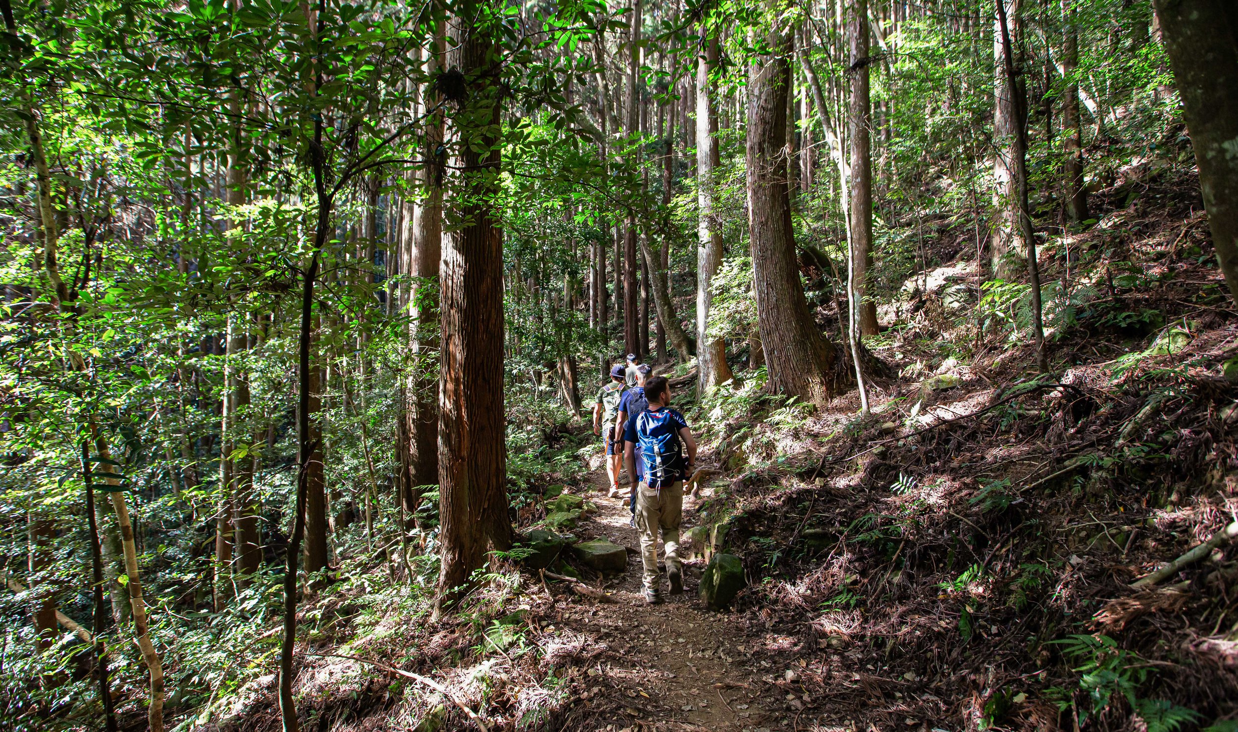 Jialishan (加里山) — Josh Ellis Photography