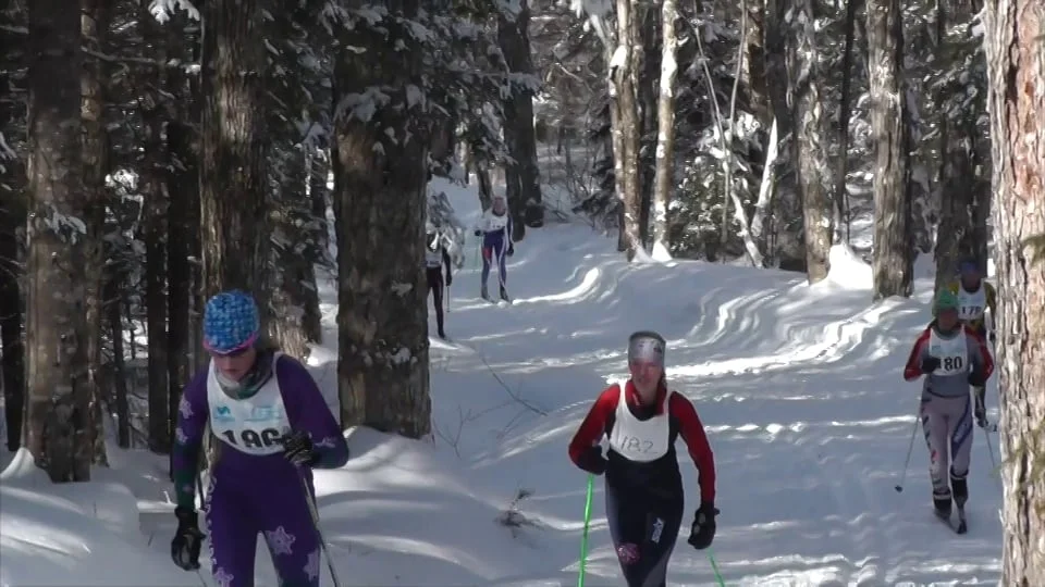 New Hampshire Nordic Coaches Association