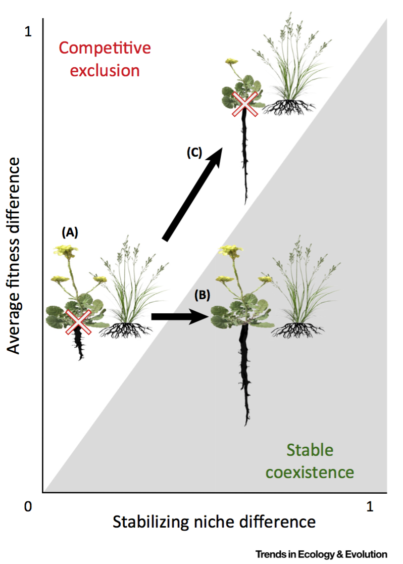 Species Coexistence — Turcotte Lab of Experimental Evolutionary Ecology