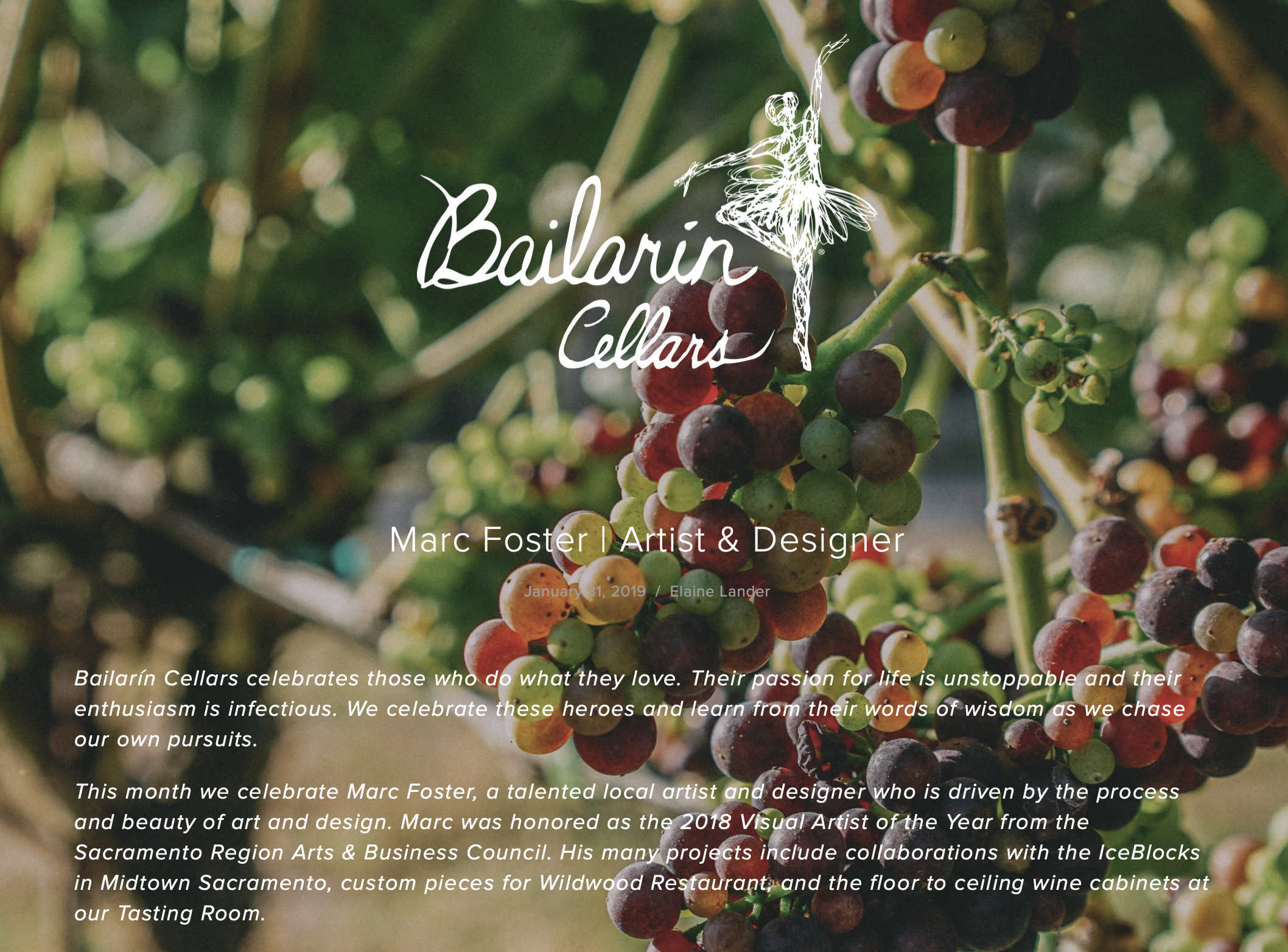 Latest — Marc Foster Creative