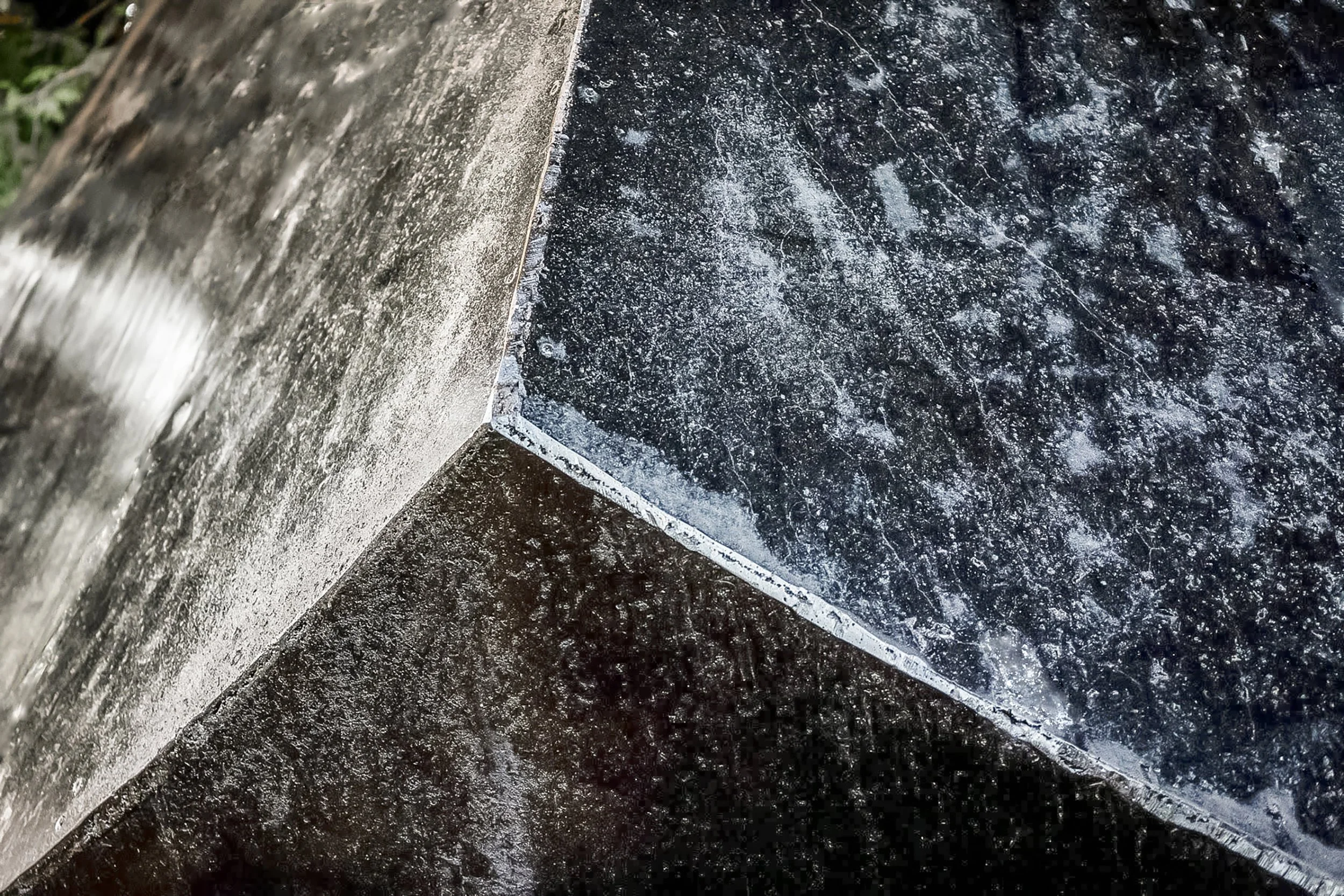 Megastrobili — George Lee Studio