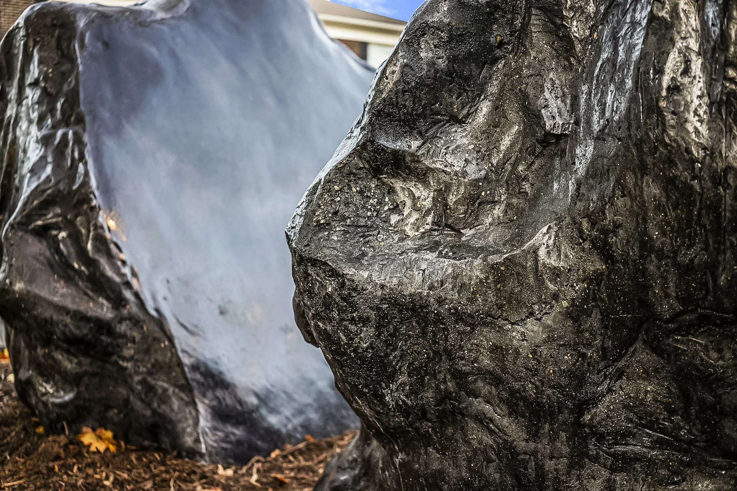 Megastrobili — George Lee Studio