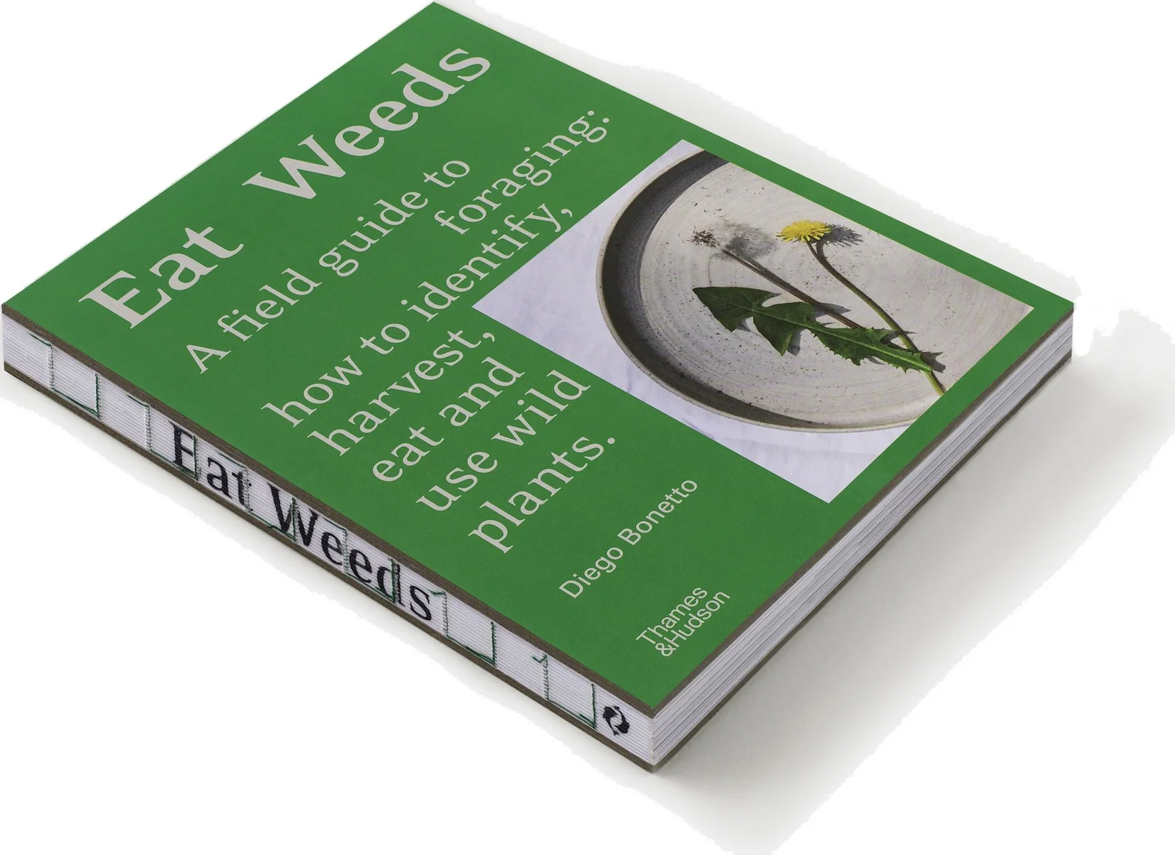 EAT WEEDS A field guide to foraging — Wild Plants, Foraging, Food, Art ...
