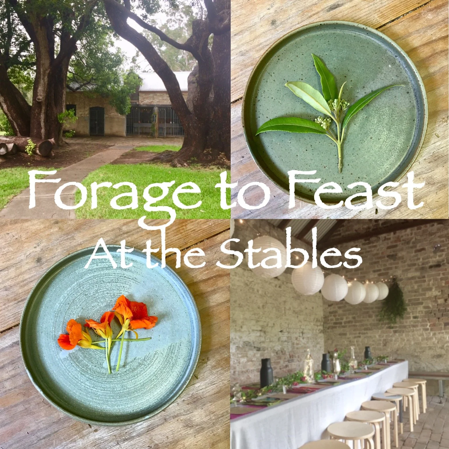 Tickets & Bookings foraging workshop wild food — Wild Plants, Foraging ...
