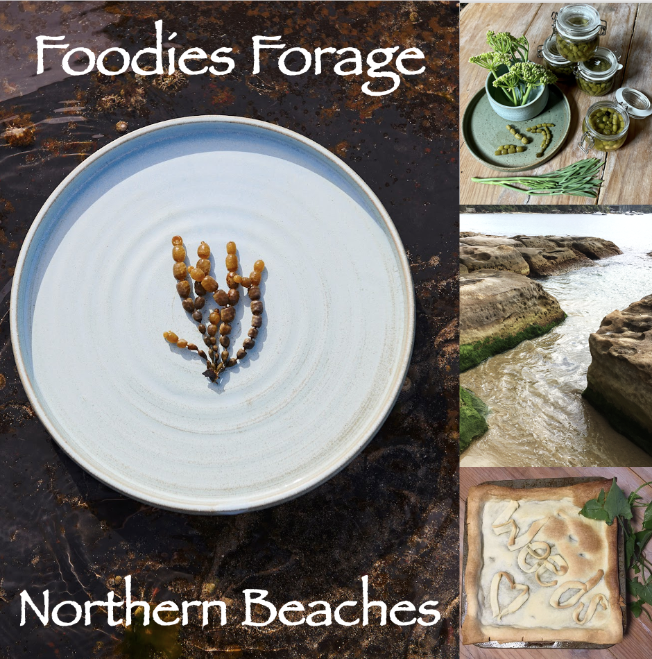 Tickets & Bookings foraging workshop wild food — Wild Plants, Foraging ...