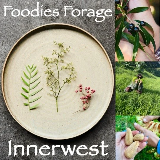 Tickets & Bookings foraging workshop wild food — Wild Plants, Foraging ...