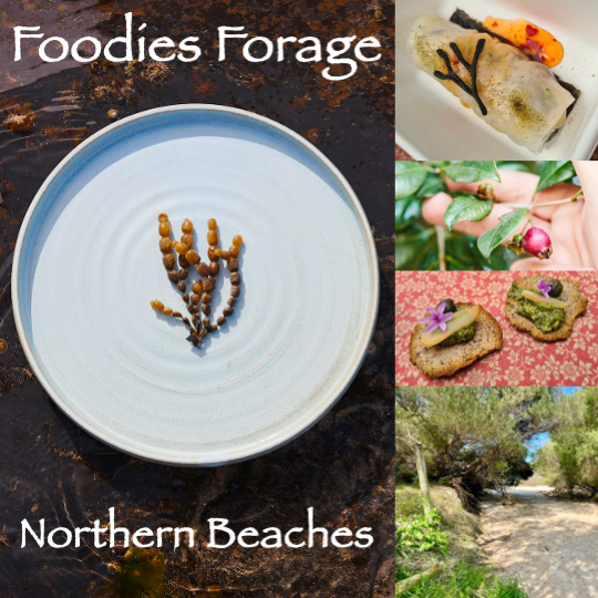 Tickets & Bookings foraging workshop wild food — Wild Plants, Foraging ...