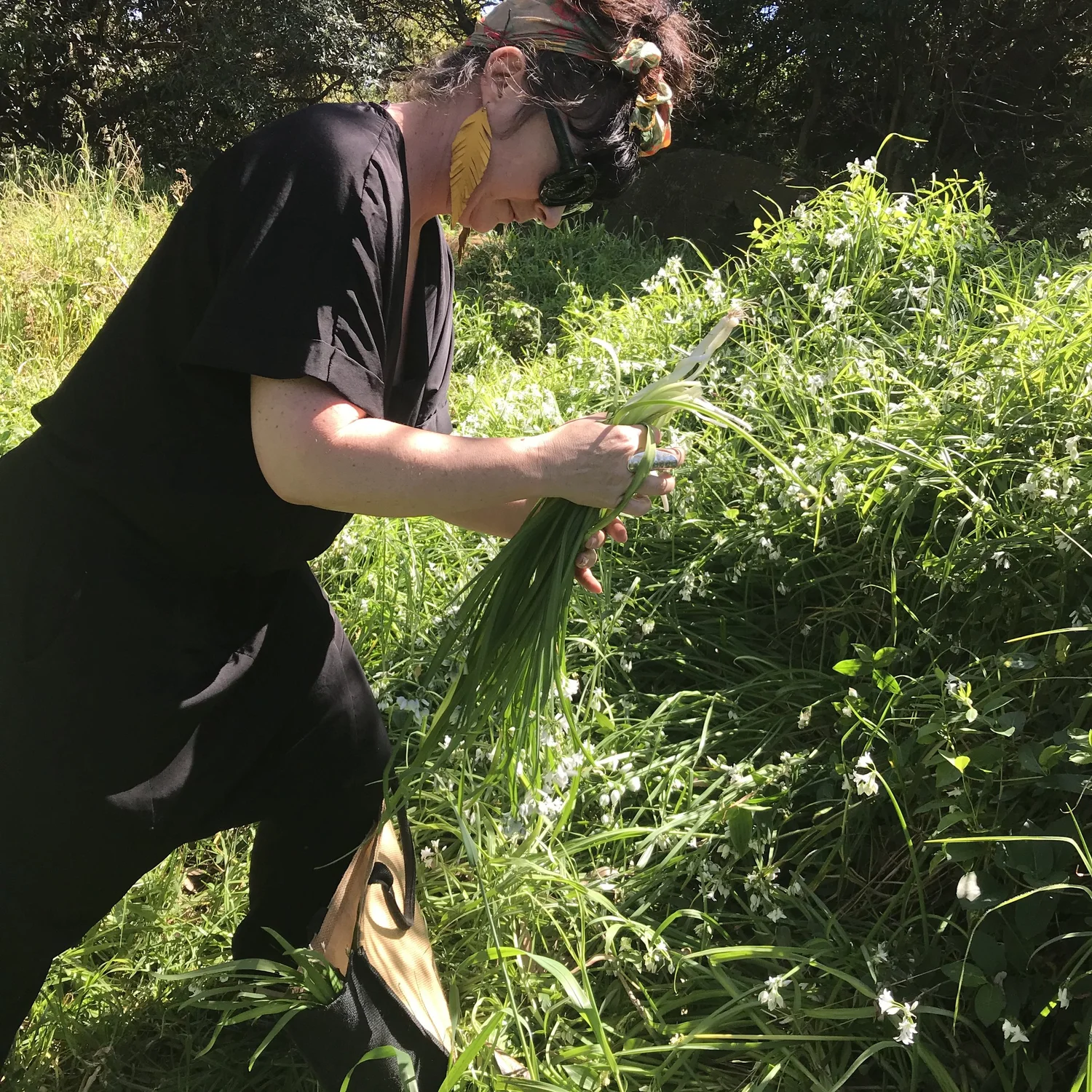 How to identify, harvest and cook three corner garlic in Australia ...