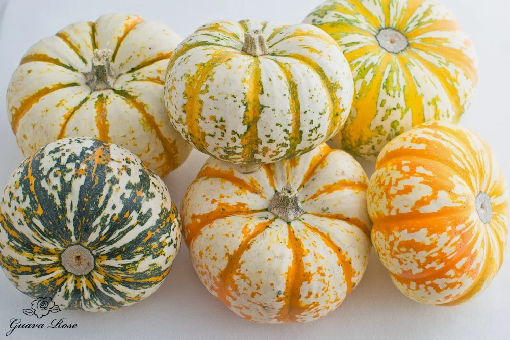 Roasted Pumpkin, Cilantro, and Persimmon Salad — Whole Nourishment