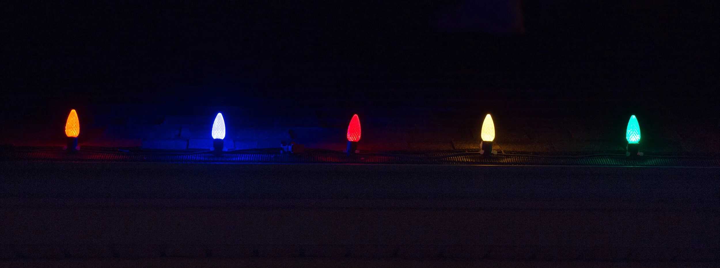 Pick Your Bulb Color! Wildwood Christmas Lights — Bloom Lights