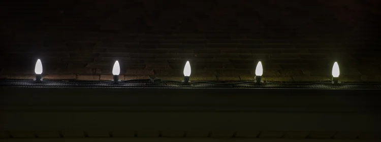 Pick Your Bulb Color! Wildwood Christmas Lights — Bloom Lights