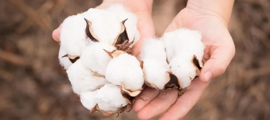 10 Secrets About Cotton Yarn that Nobody Will Tell You — Blog.NobleKnits
