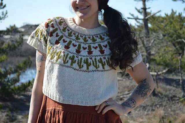 10 Cute Cactus Knitting Patterns — Blog.NobleKnits