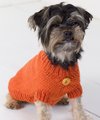 Furry Fashion: 10 Trendy Dog Sweater Knitting Patterns — Blog.NobleKnits