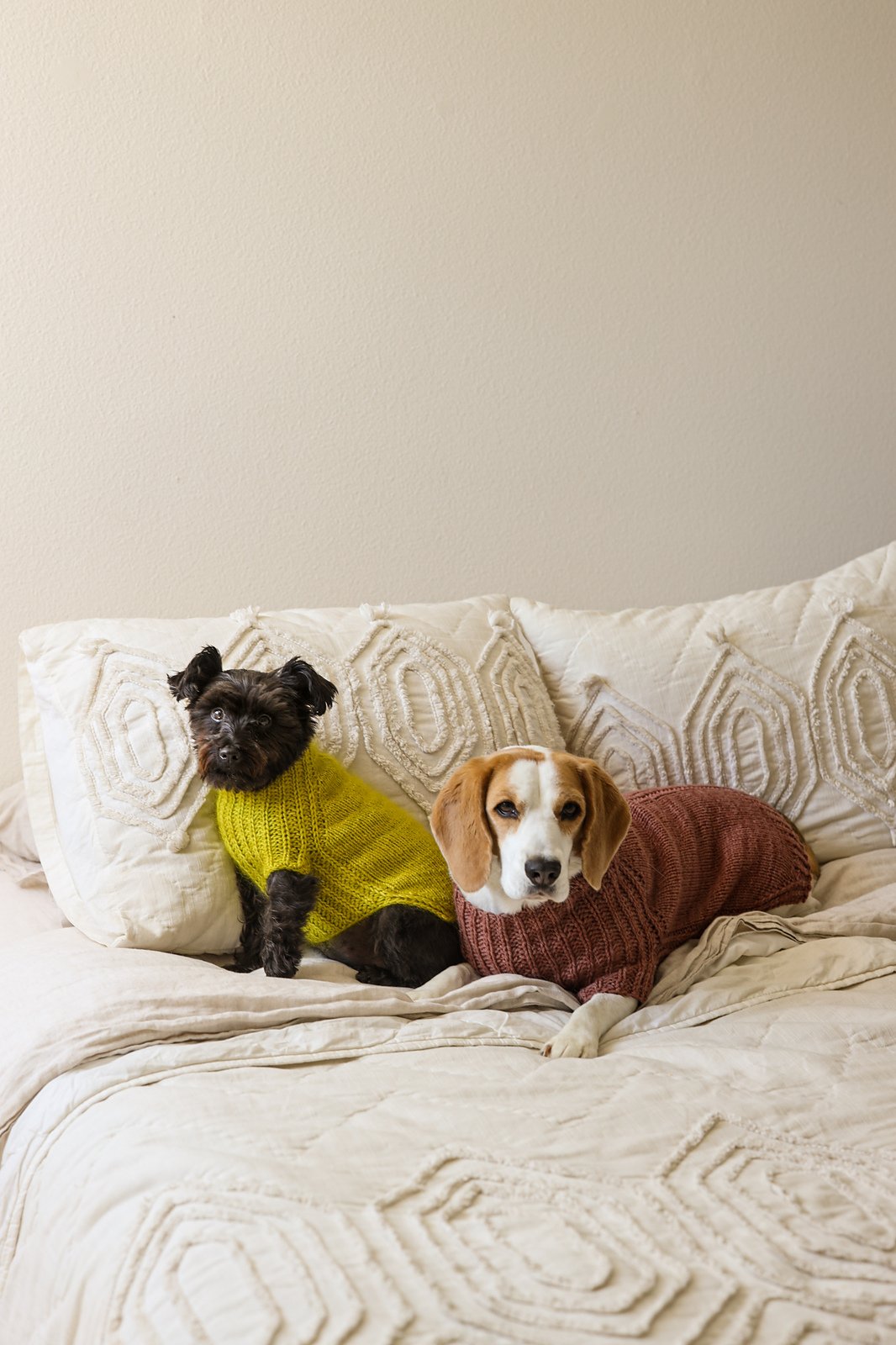 Furry Fashion: 10 Trendy Dog Sweater Knitting Patterns — Blog.NobleKnits