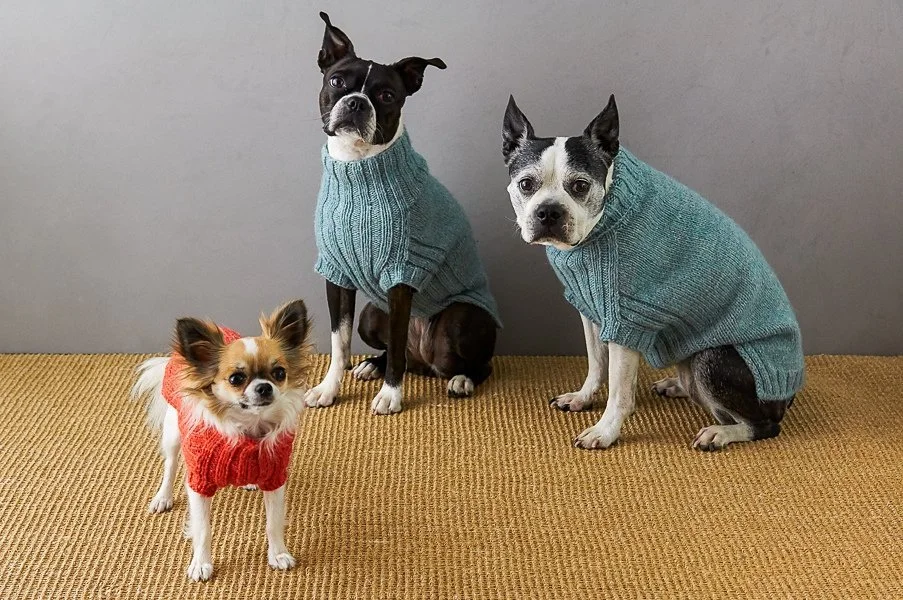 Furry Fashion: 10 Trendy Dog Sweater Knitting Patterns — Blog.NobleKnits