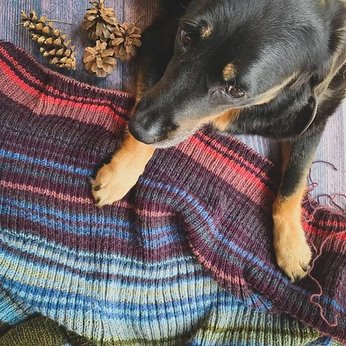 Complete Guide to Making Temperature Blankets — Blog.NobleKnits