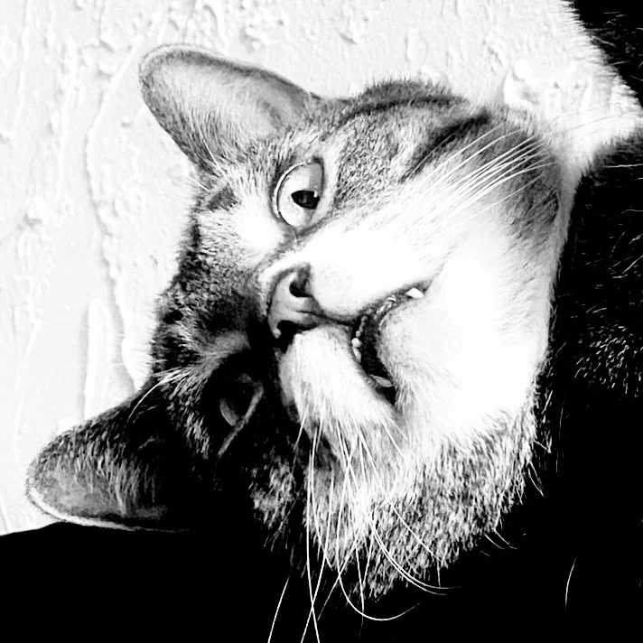 How to Create Halftone Designs for Screen Printing: A Step-by-Step ...