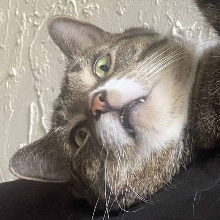 How to Create Halftone Designs for Screen Printing: A Step-by-Step ...