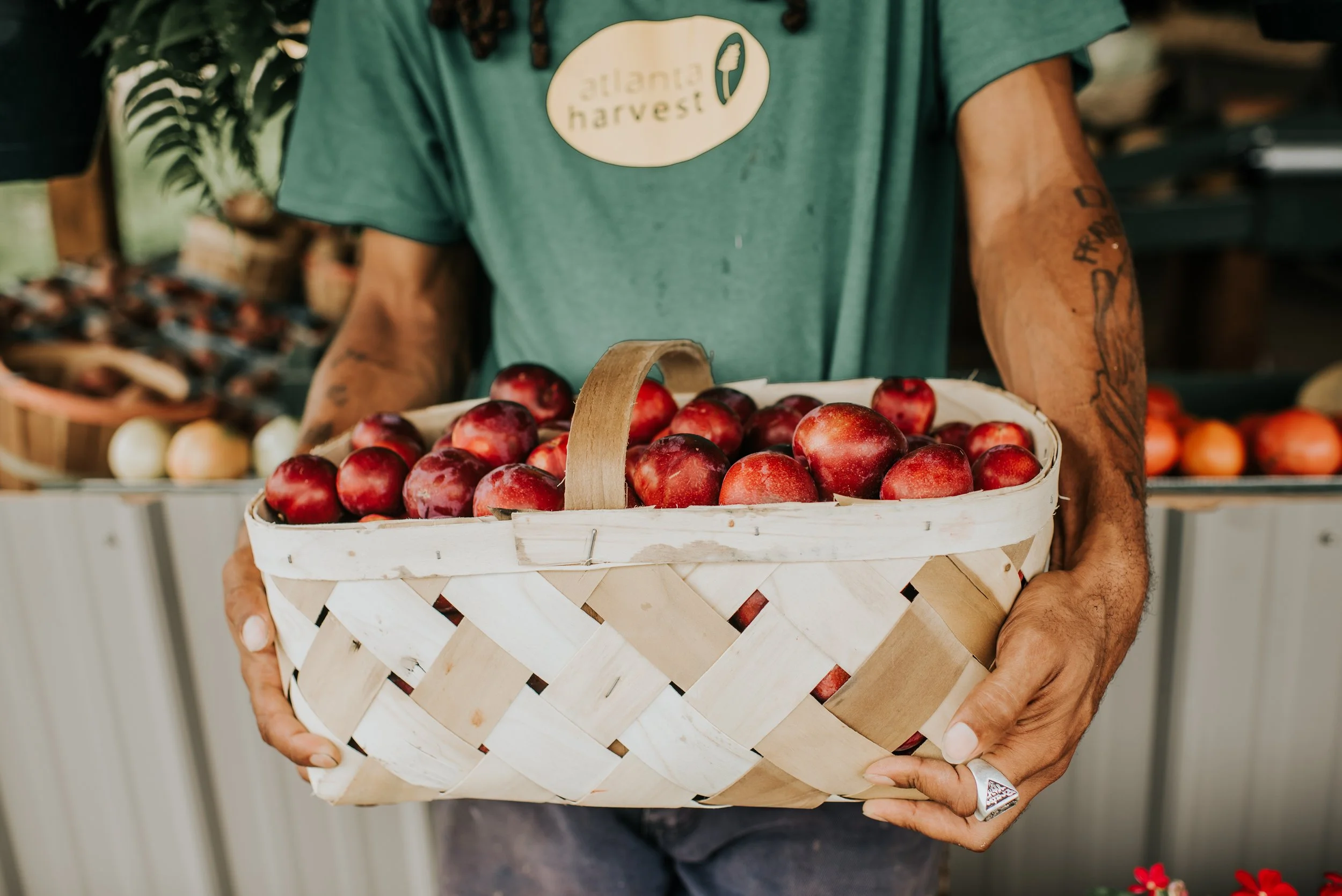 The Giving Grove Orchard Project — Food Well Alliance