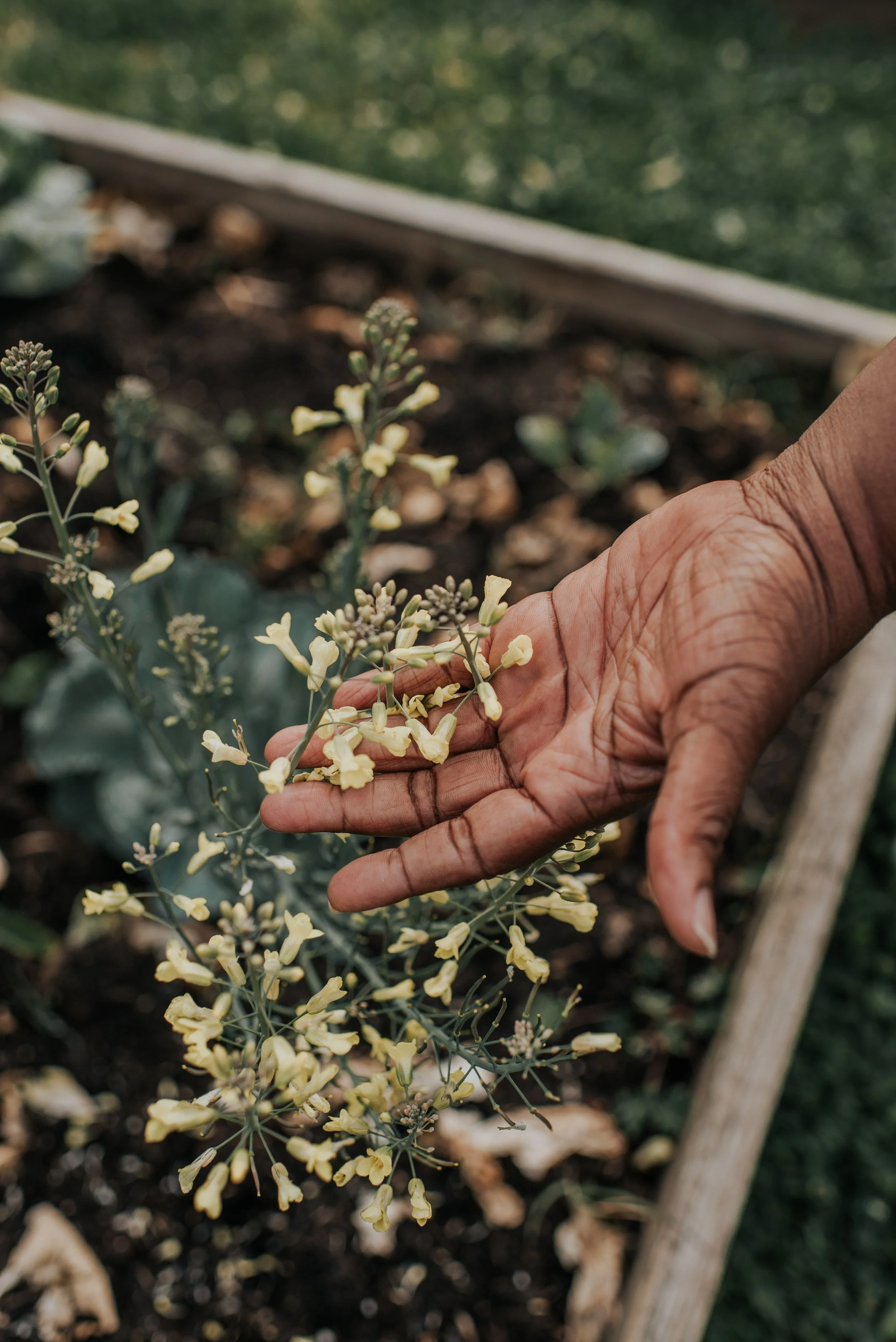 Andrea Searles & Bo Garrison | I.T. and Lodemia Terrell Community ...