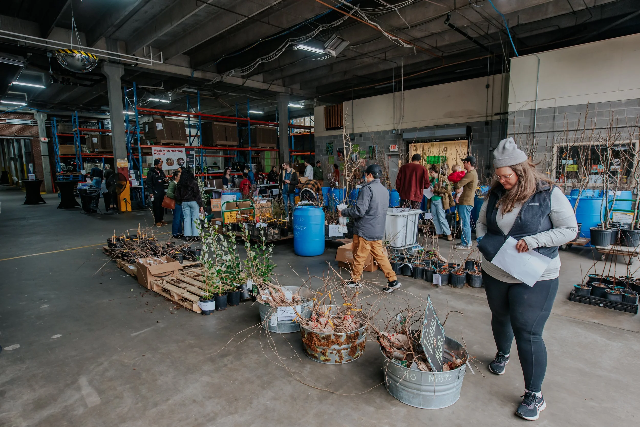 Fruit Tree Sale — Food Well Alliance